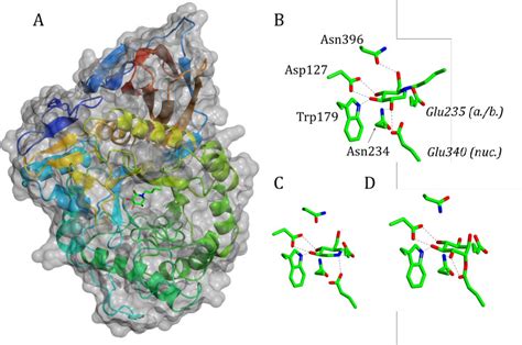 Figure 1 1 From Glucosylceramide Metabolism From 3d Structure To The Development Of Selective