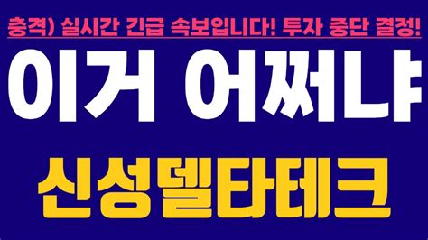 신성델타테크 💥충격💥 투자 중단 결정 이거 어쩌냐 Youtube