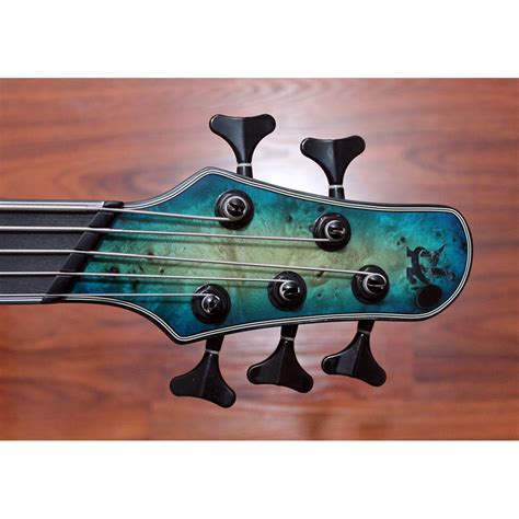 Electric String Bass