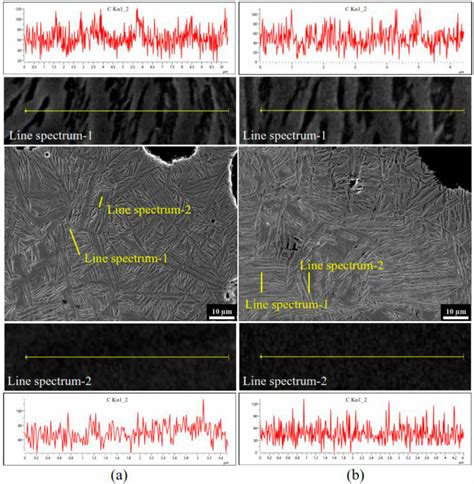 Sem Images With The Accompanying Line Scan Eds Analysis Of Carbon Download Scientific Diagram