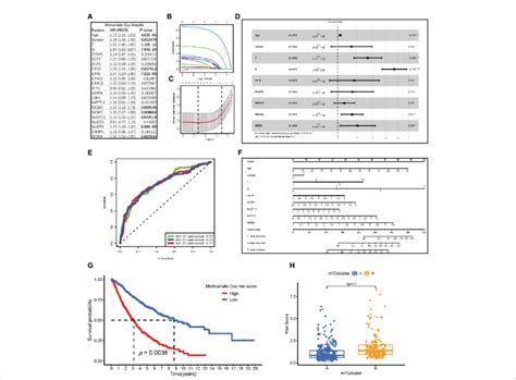 Cox Regression Analysis For N7 Methylguanosine M7g Related Genes And