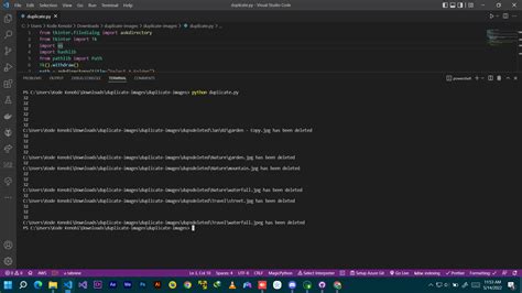 Github Kodekenobiduplicate Finder A Python Terminal Program That Finds And Deletes