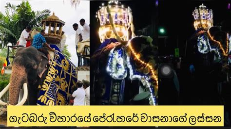 ගැටබරු විහාරස්ථානයේ පේරැහැර වාසනාගේ ව්ඩීයෝව හරිම ලස්සනයි Wasana Youtube