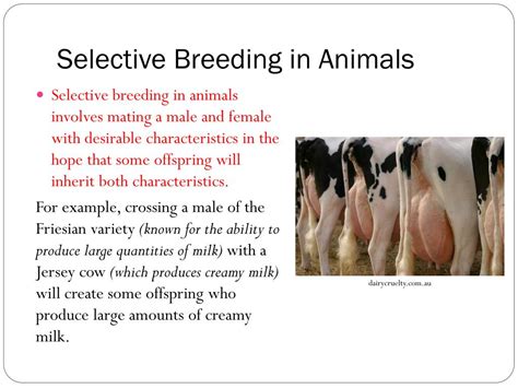Ppt Blueprint Of Life Topic 21 Reproductive Technologies Powerpoint