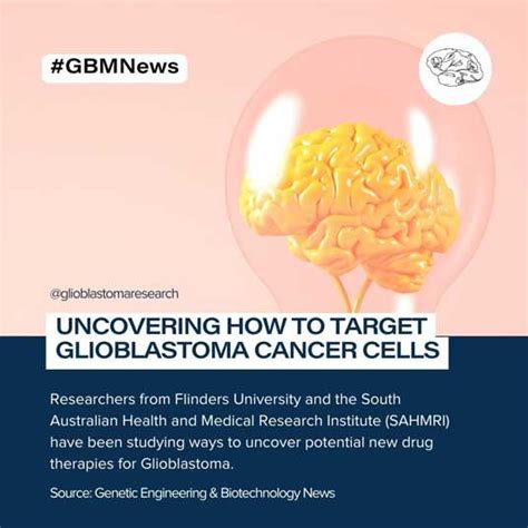 About Glioblastoma Research Organization