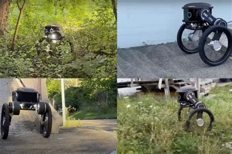 Two Wheeled Autonomous Robots Are Designed To Keep Your Premises Secure