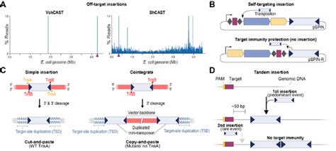 Fig Box 1 Alternative Integration Byproducts A Comparison Of Download Scientific Diagram