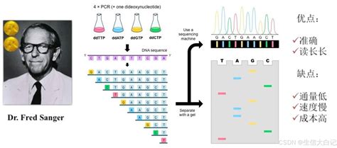 测序技术原理一代二代三代测序原理 Csdn博客