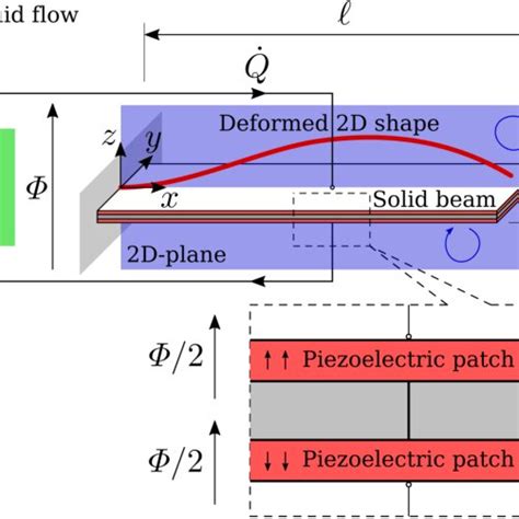 Configuration Of The Flow Induced Vibration Of A Cantilever Beam Download Scientific Diagram