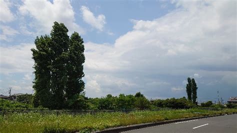 晴れてるうちに… line buffer overflow…