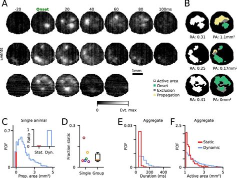 Stereotyped Spatiotemporal Dynamics Of Spontaneous Activity In Visual Cortex Prior To Eye