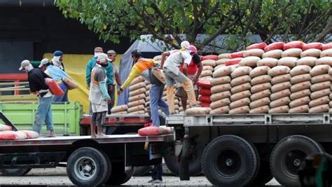 Harga Bahan Bangunan Triplek Dan Besi Beton Naik Espos Id Espos Indonesia Dari Solo Untuk