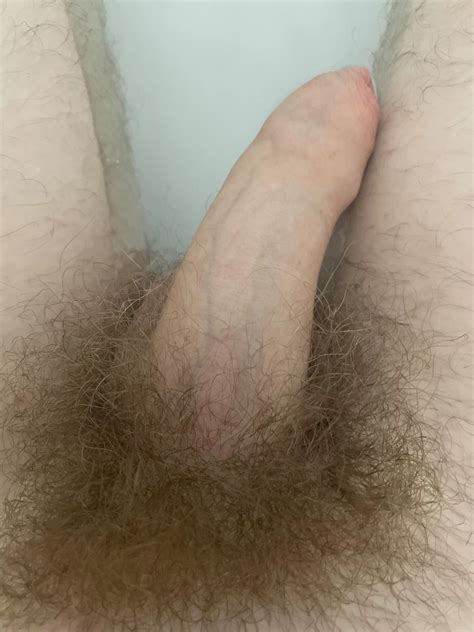 Heres My Softie And My Bush Let Me Know What You Think Nudes