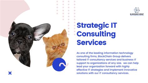 Blockchain Group Technology ⚫️⚪️⚪️ Strategic It Consulting Services 🐼 💻 As One Of The Leading