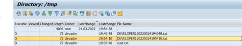 Sap Abap Internal Table To Text File On Application Server Al11