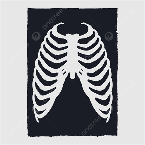 Skull And Bone Poster Design Corpse Art Set Vector Corpse Art Set