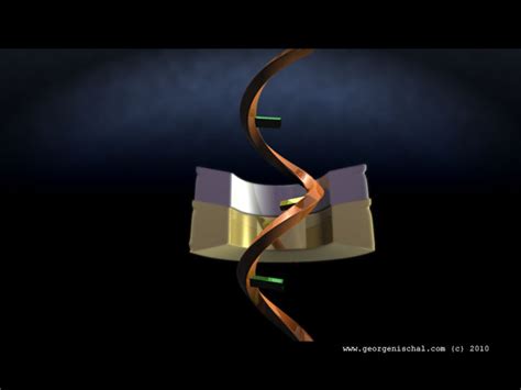 Nanopore Sequencing Simulation Medical Visualisation