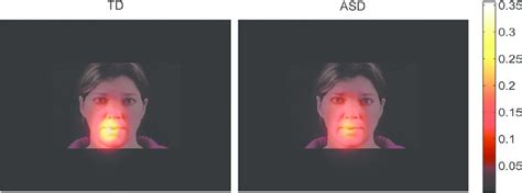 Fixation Maps For Fixations During Presentation Of The Speech Stimuli