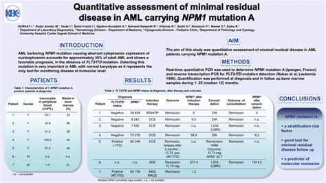 Pdf Quantitative Assessment Of Minimal Residual Disease In Aml