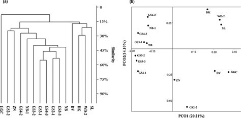 a similarity unweighted pair group method with arithmetic mean