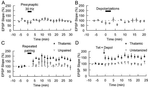 Associative Synapse Specific LTP At Thalamic Input Synapses To The L Download Scientific