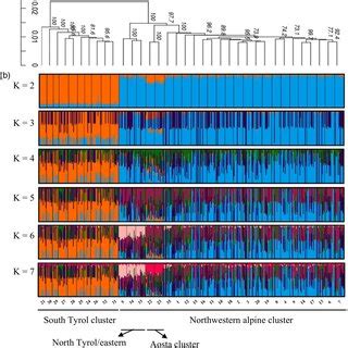 Dendrogram Based On Nei S Genetic Distance Including 35 Collections Of Download Scientific