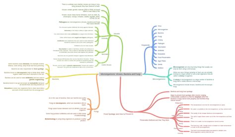Microorganisms Viruses Bacteria And Fungi Coggle Diagram