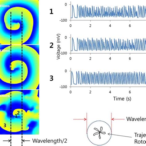 Three Dimensional Maps Of Wave Dynamics Parameters Maps Of Voltage