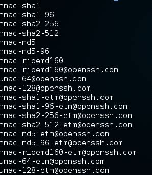 Surviving An SSH Audit Alien Within