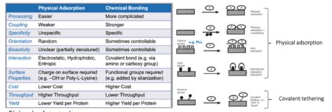 Surface Modifications Flashcards Quizlet