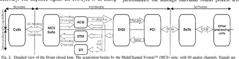 Figure 2 From Design Of A Bioelectronics Hybrid System In Real Time And