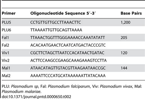 Primers Used In Nested Pcr Reactions Download Table