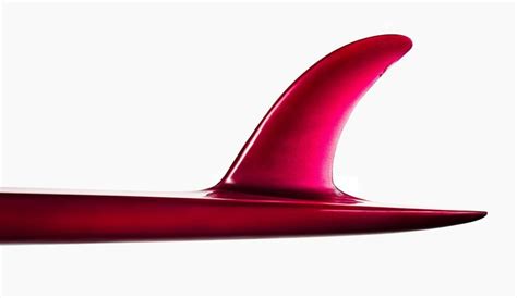 Thefinproject A Visual Exploration The Inertia Surfing Photography