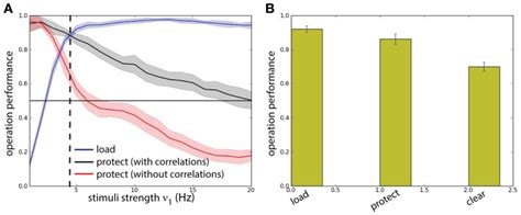 background correlations increase working memory performance protocol