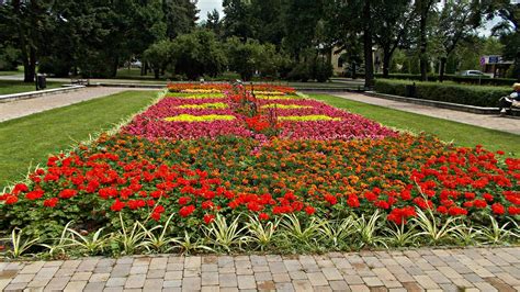 Ciechocinek Flowers - Free photo on Pixabay