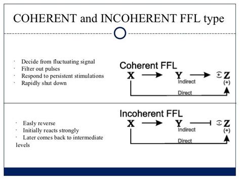 Feed Forward Loop Database