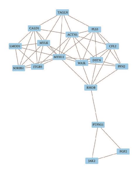 Top 6 Modules From The Protein Protein Interaction Network A Module Download Scientific
