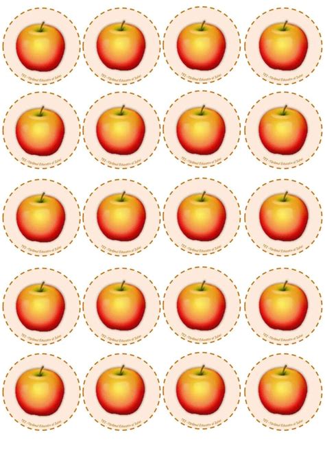 Fun And Educational Apple Sorting Activity