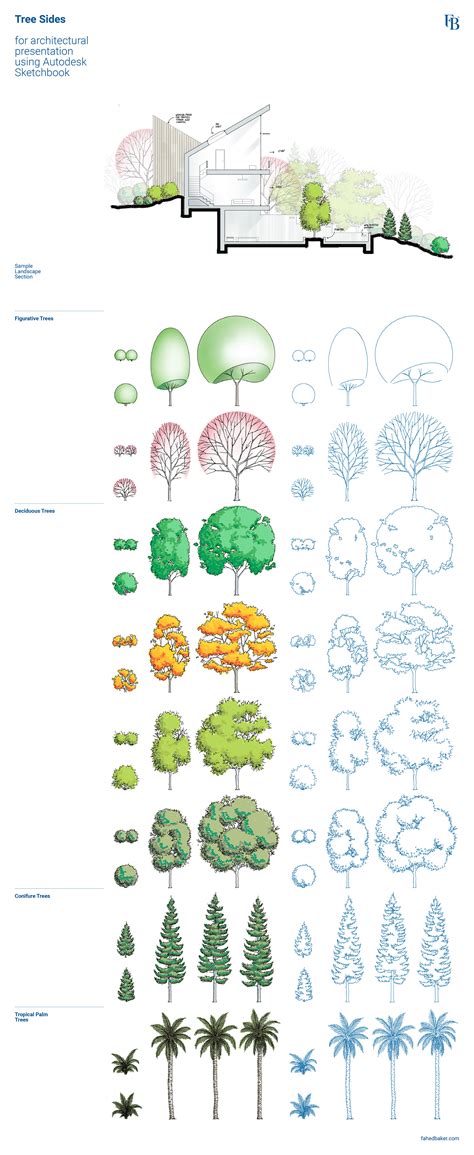 Tree Sides On Behance