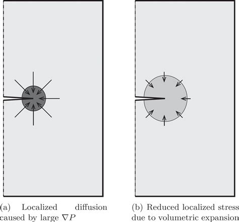 Pressure Gradient Dependent Diffusion And Crack Propagation In Lithiated Silicon Nanowires