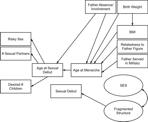 Hypothesized Pre Registered Full Sem Model Of Age At Menarche And Download Scientific Diagram