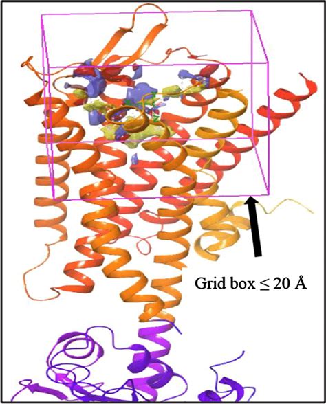 Grid Generation Around The Site 1 Download Scientific Diagram