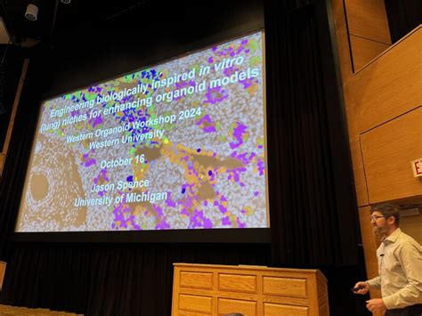 stem cell network on linkedin wow2024 organoids stemcellresearch