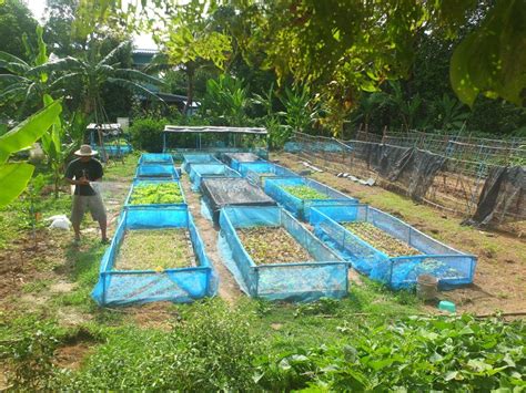 คัดมาให้ดู 100 ไอเดียแปลงปลูกผักสวนครัว สวยๆ แบบประหยัดพื้นที่ แบบเกษตรพอเพียง Ide Berkebun