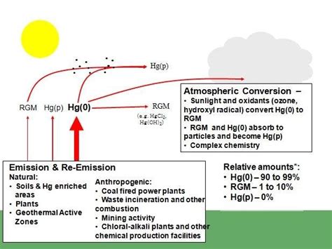 5 Overview Of Atmospheric Mercury Cycle Download Scientific Diagram