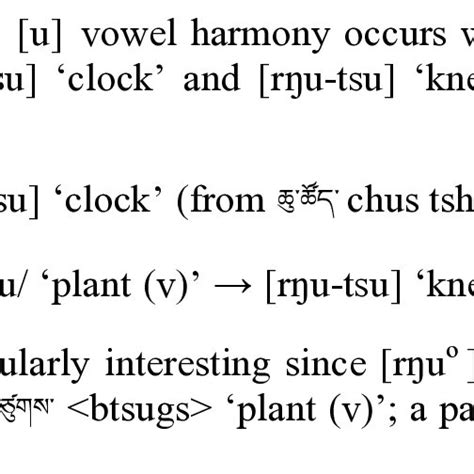 Vowel harmony outside the four vowel pairs | Download Scientific Diagram