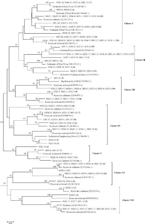 Phylogenetic Tree Of Representative N Damo Pmoa Sequences And Reference