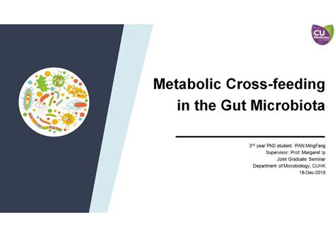 Pdf Metabolic Cross Feeding In Gut Microbiota Joint Graduate €¦ · 1 What Is Cross Feeding