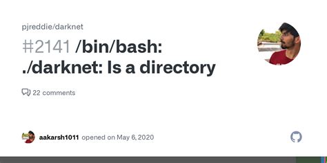 Binbash Darknet Is A Directory · Issue 2141 · Pjreddiedarknet