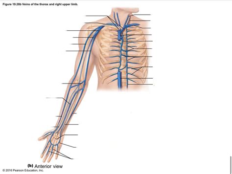 Quiz Diagram Quizlet Quiz Diagram Quizlet
